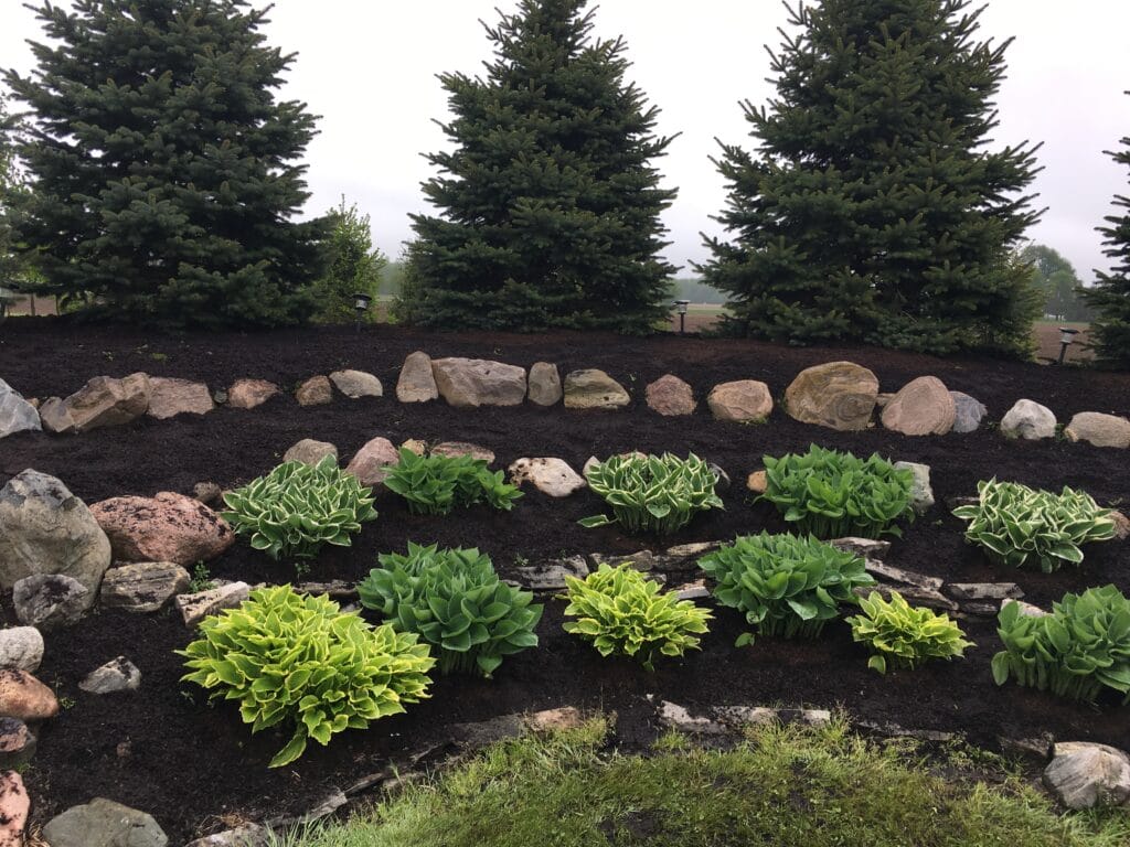 Projects - Elmview Farms