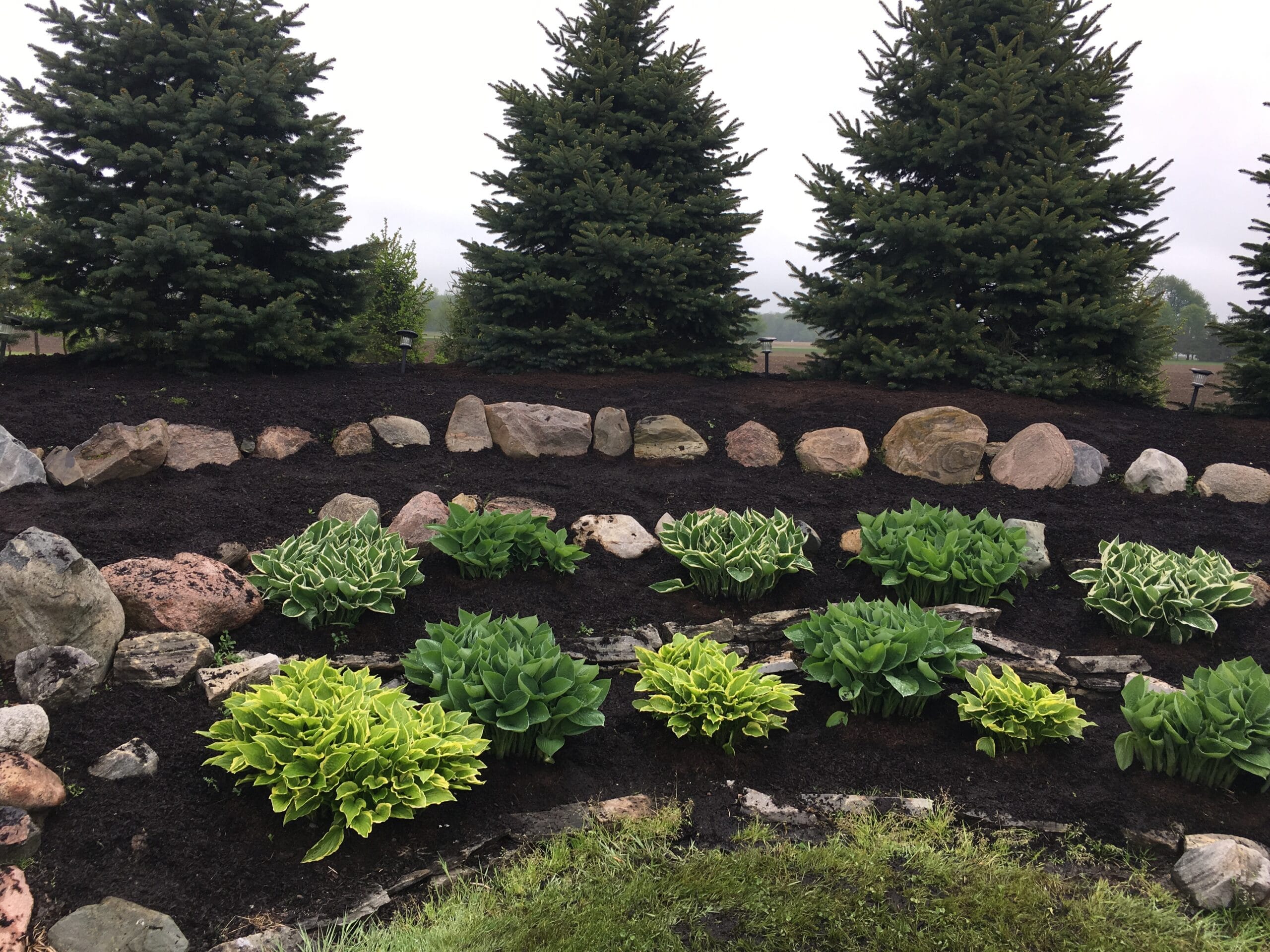 Contact Elmview Farms Contact Elmview Farms